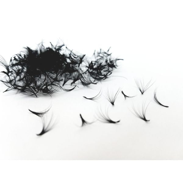 Premade Wispy Spike Fans ( 7D D Curl)- 500 Fans
